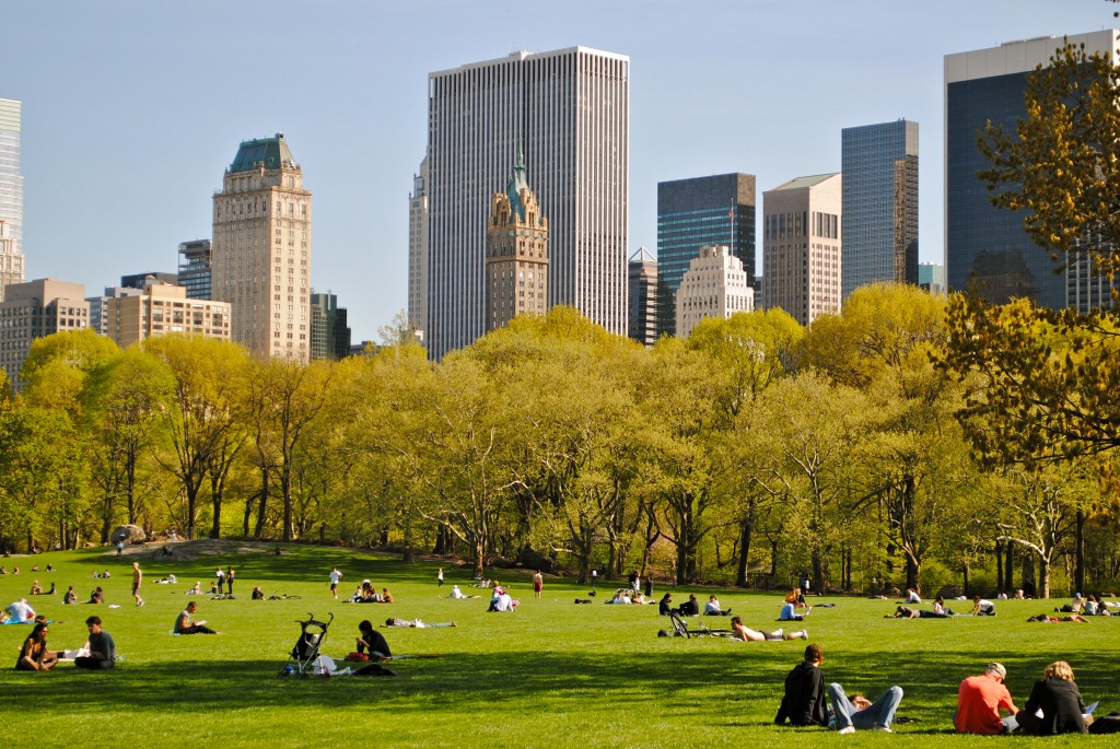 Sheep meadow, Central Park - sabi